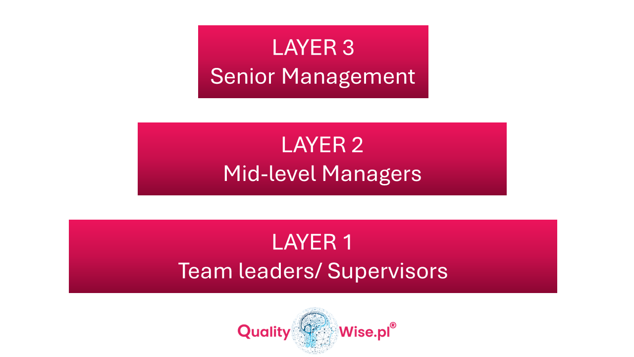 Layered Process Audit (LPA)